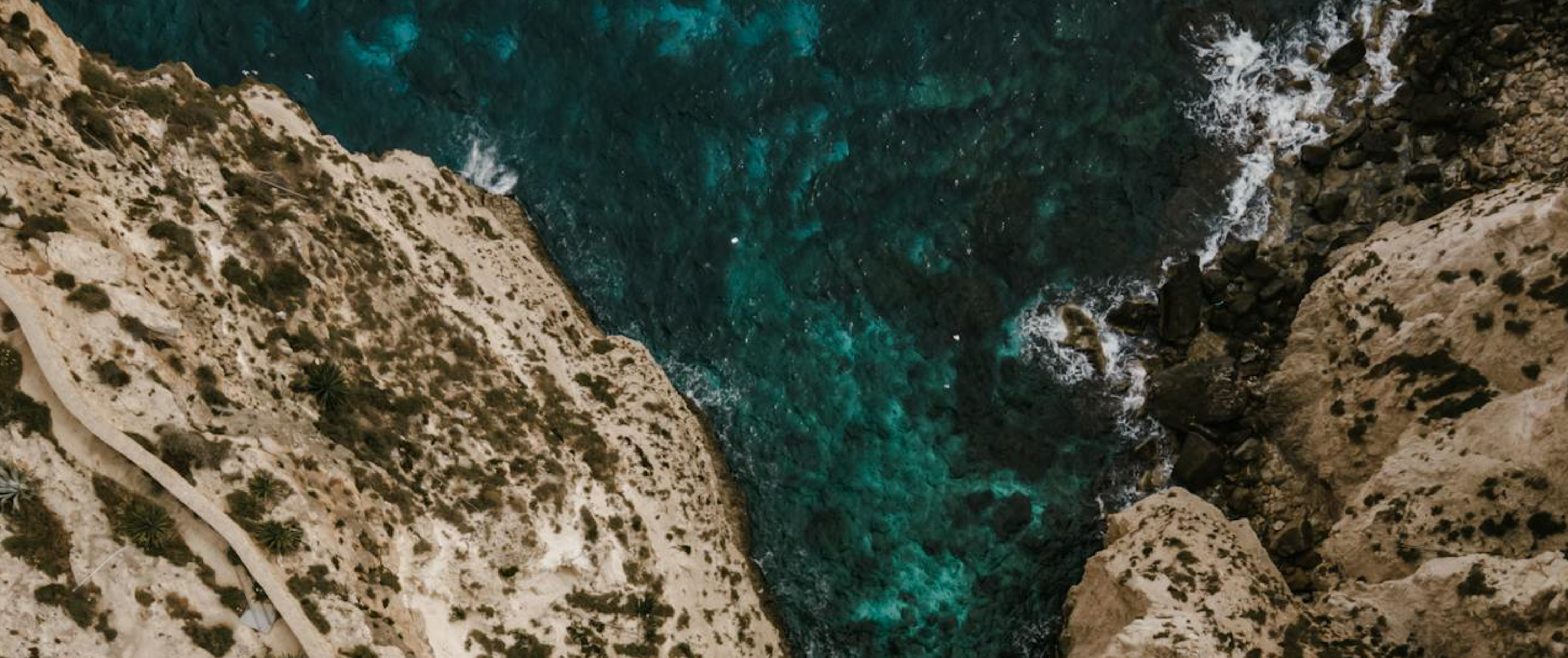 Vegetation Assessment Along Waterbodies Completed with SimActive